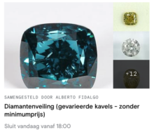 Catawiki review & ervaringen 2026 | ReviewGo